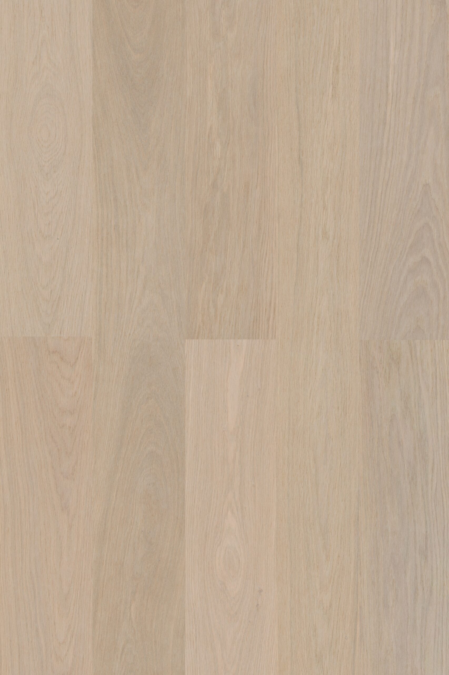 25007 - HomeMall