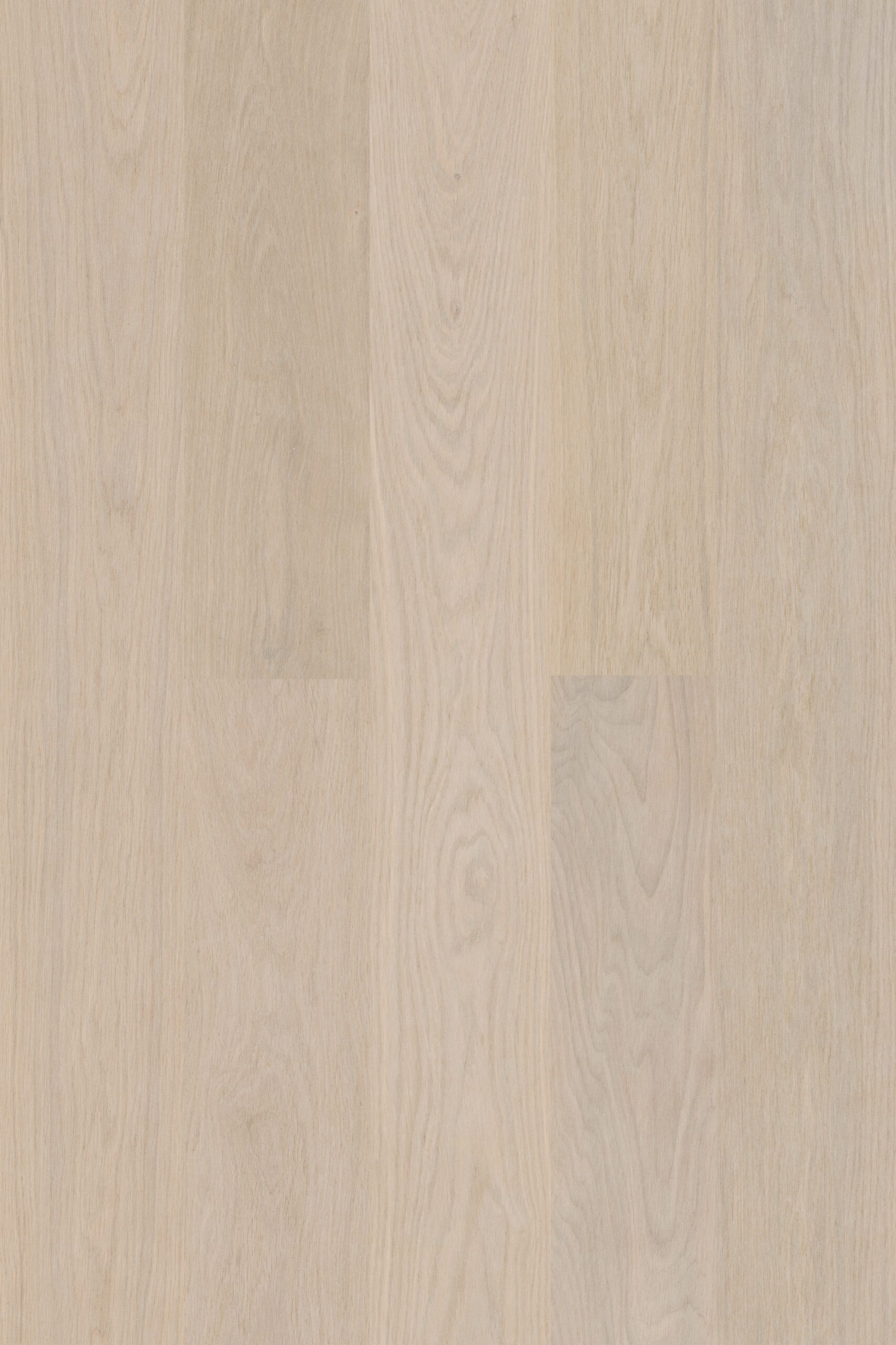 25352 - HomeMall